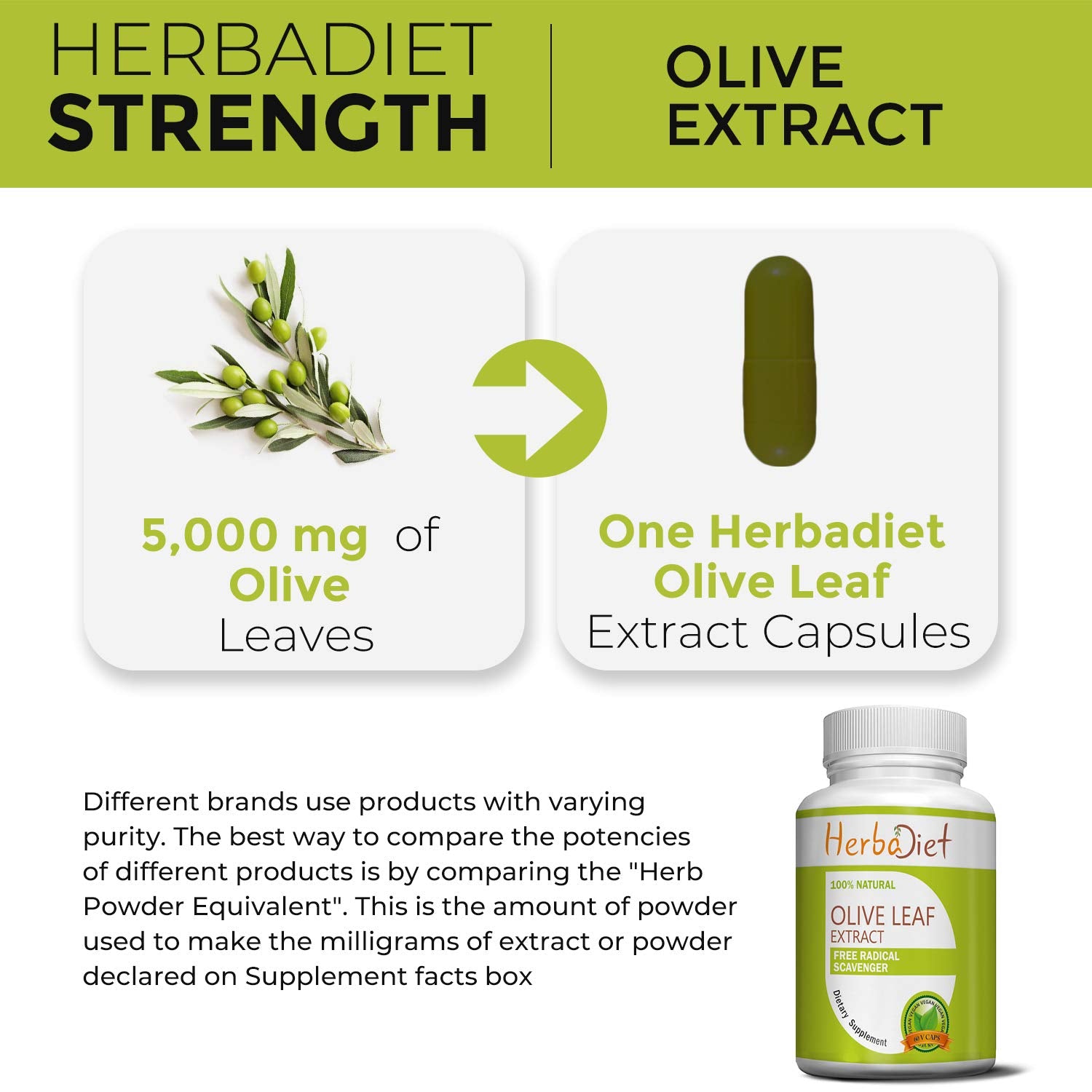 high potency olive leaf extract