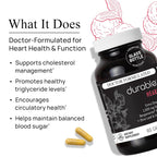 High potency olive leaf extract