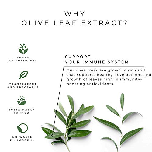 high potency olive leaf supplement