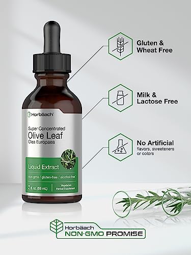 high potency olive leaf supplement