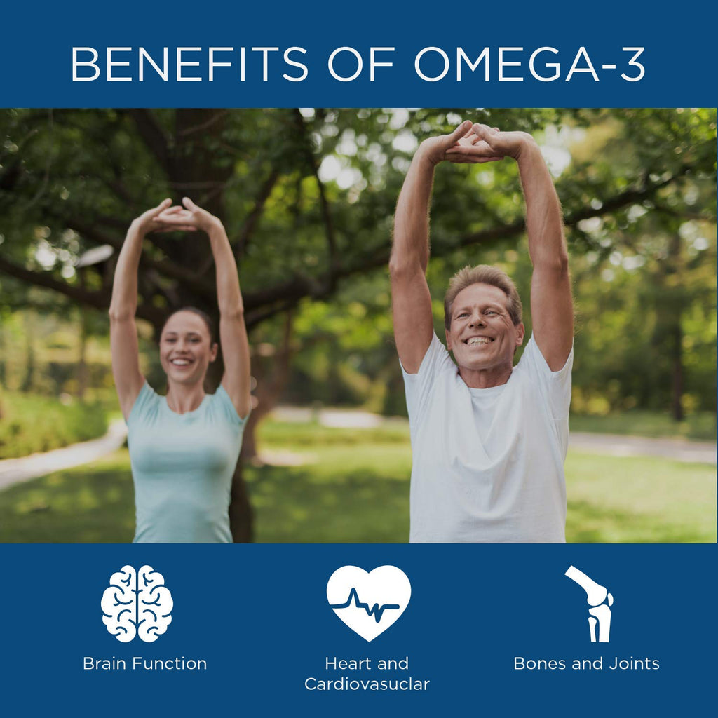 high potency omega 3 fish oil