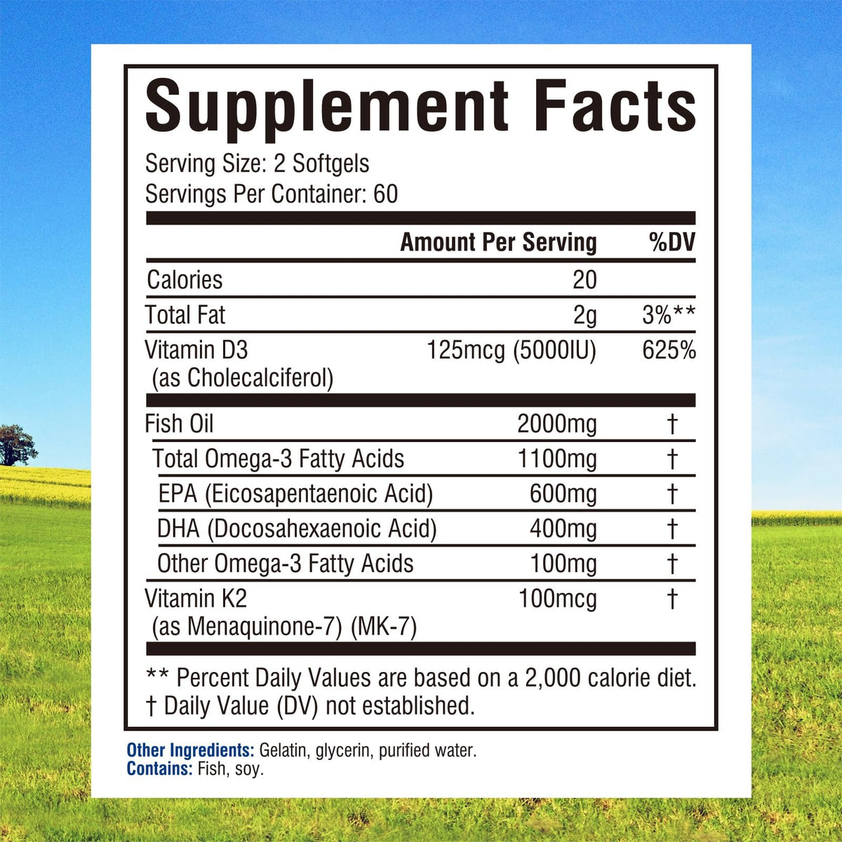 high potency omega 3 fish oil