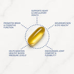 high potency omega 3 formula