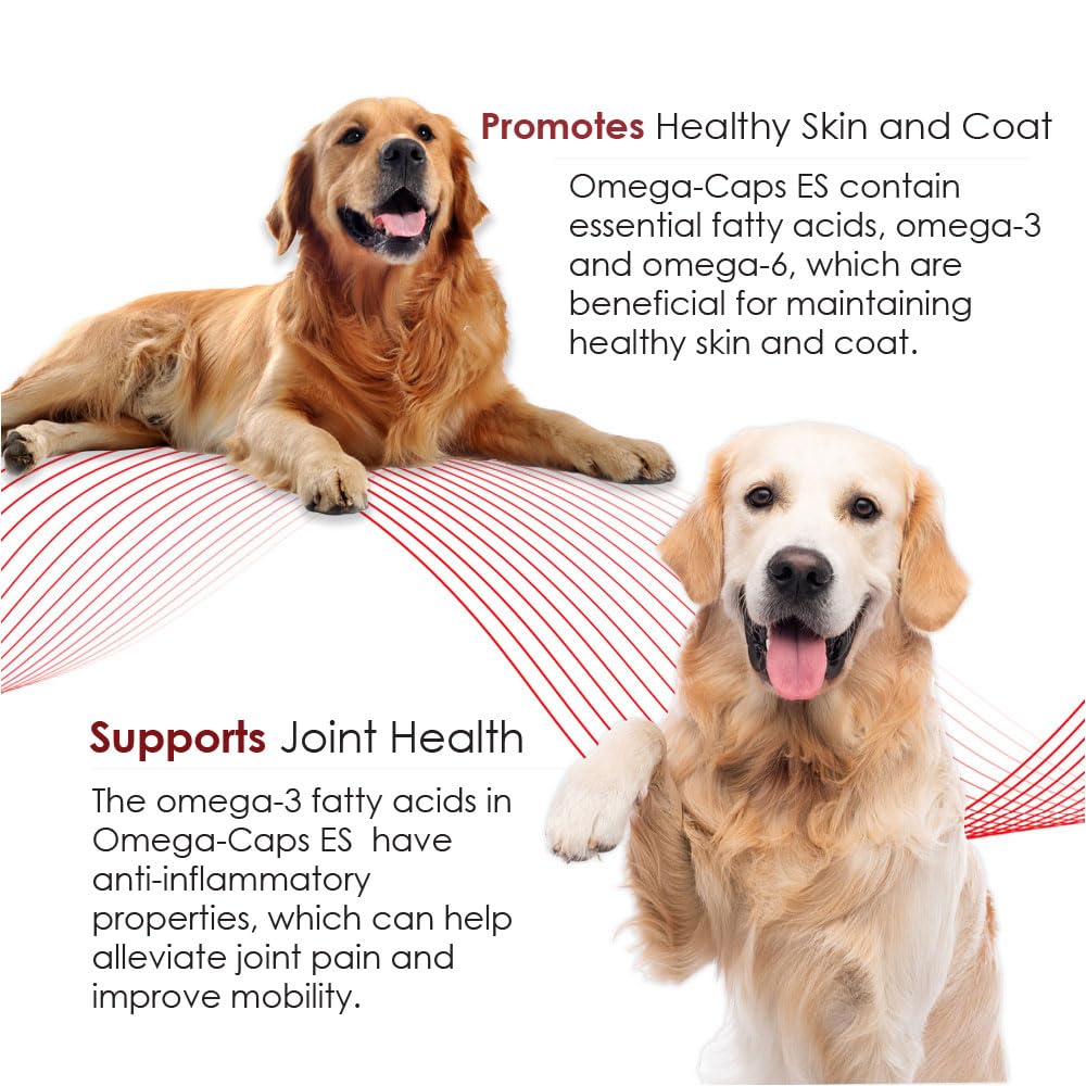 high potency omega 3 formula