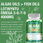 High potency omega 3 gummies for energy