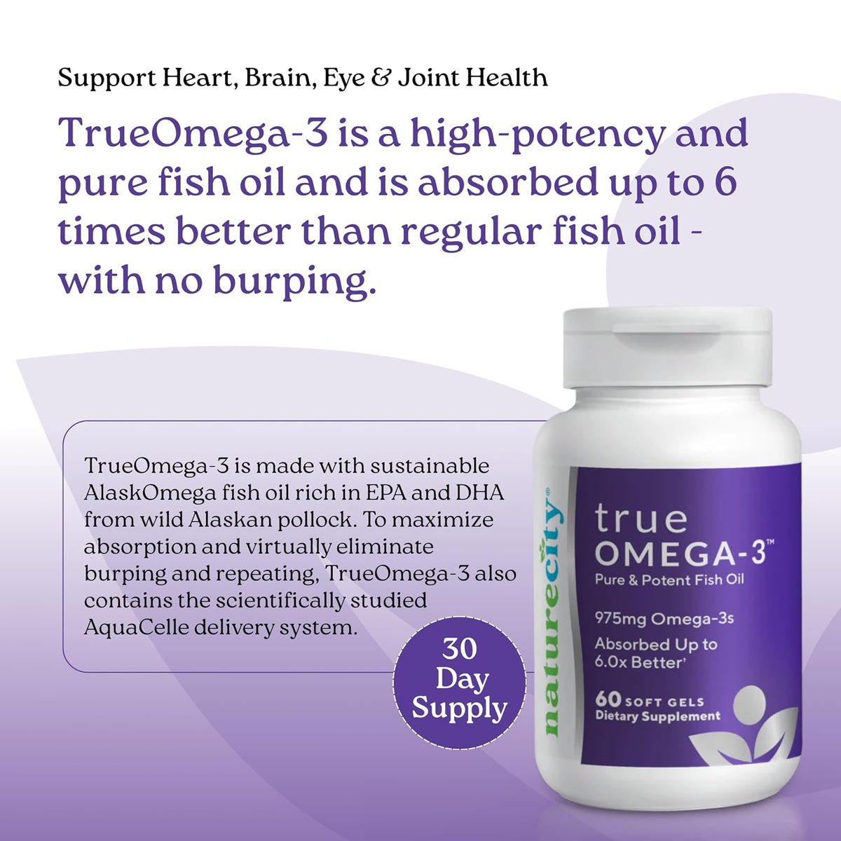 high potency omega 3 supplement