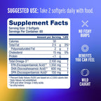 high potency omega 3 supplement
