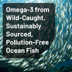 high potency omega 3 supplement