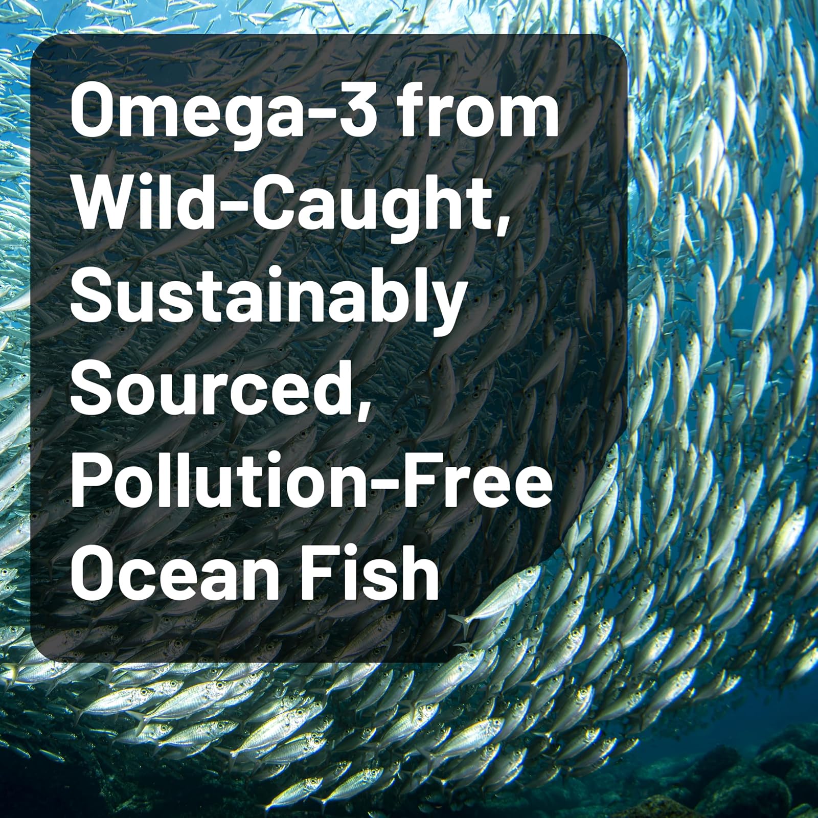 high potency omega 3 supplement