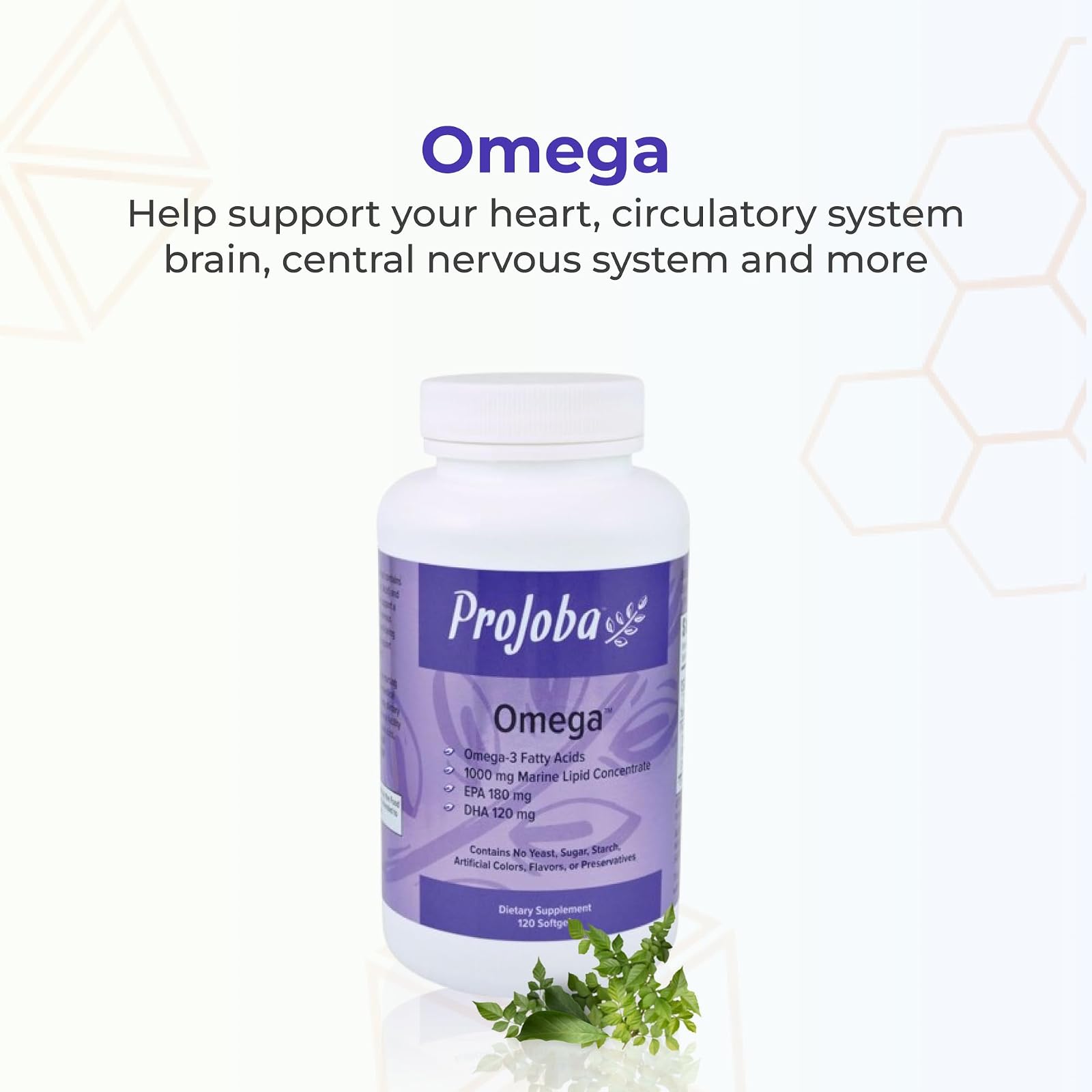 high potency omega 3 supplement