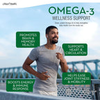 high potency omega 3 supplement