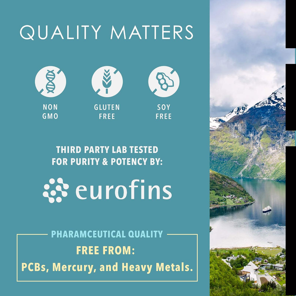 high potency omega-3 supplement