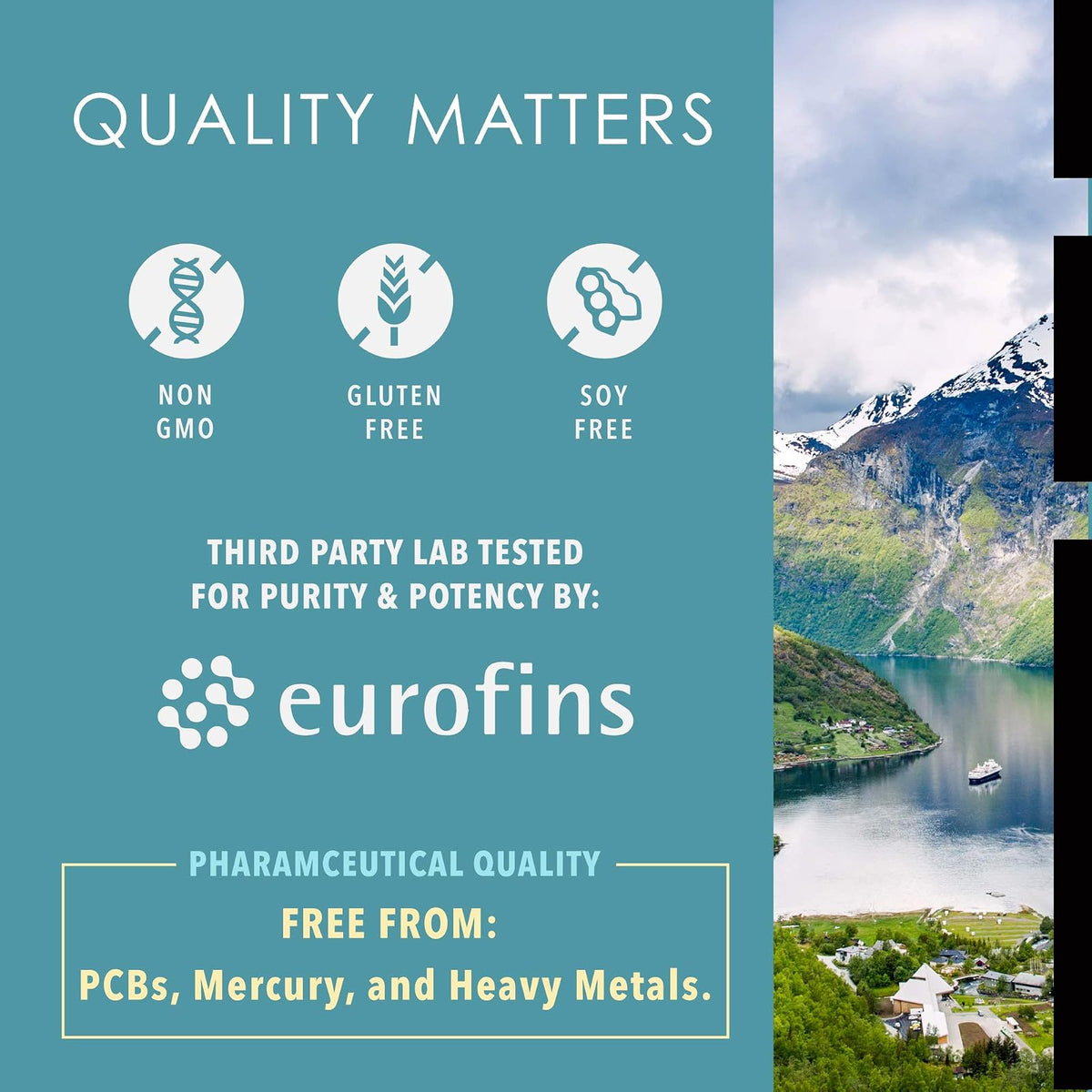 high potency omega-3 supplement