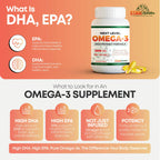 high potency Omega 3 supplement