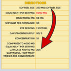 high potency oregano oil capsules