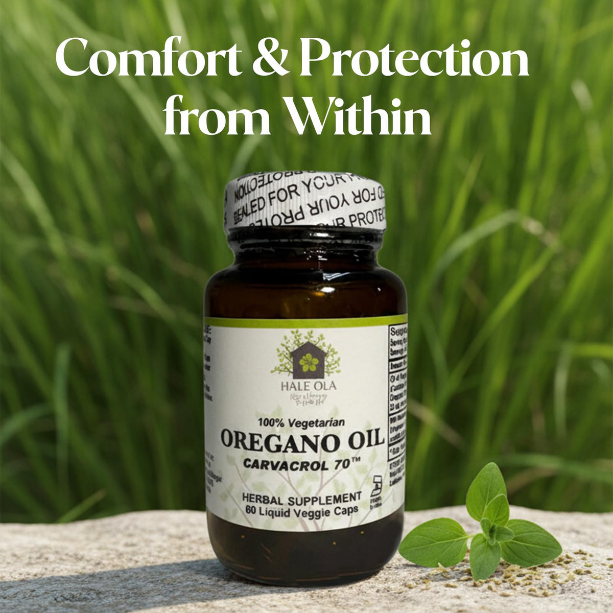 high potency oregano oil capsules