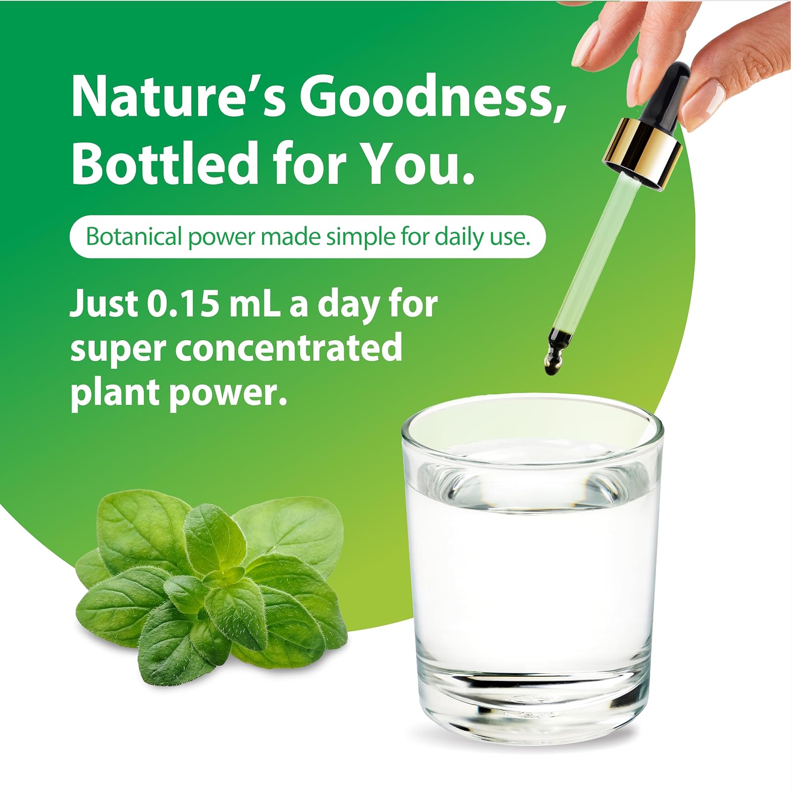high potency oregano oil extract