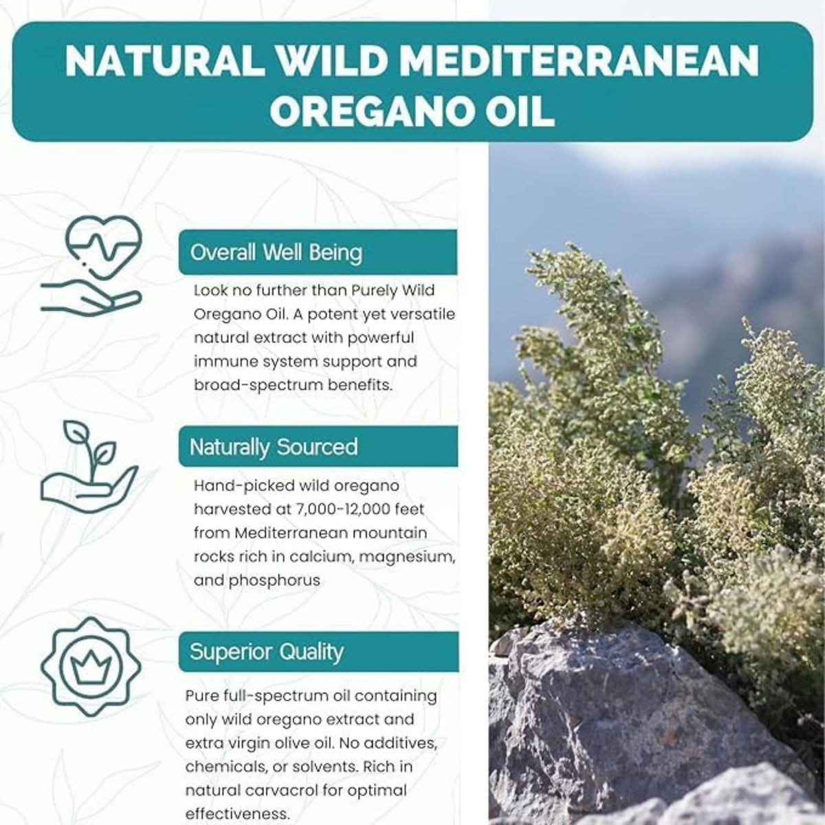 high potency oregano oil extract