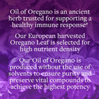 high potency oregano oil supplement