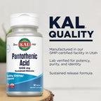 High potency Pantothenic Acid formula