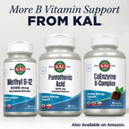 High potency Pantothenic Acid supplement
