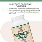 High potency phosphatidylcholine capsules
