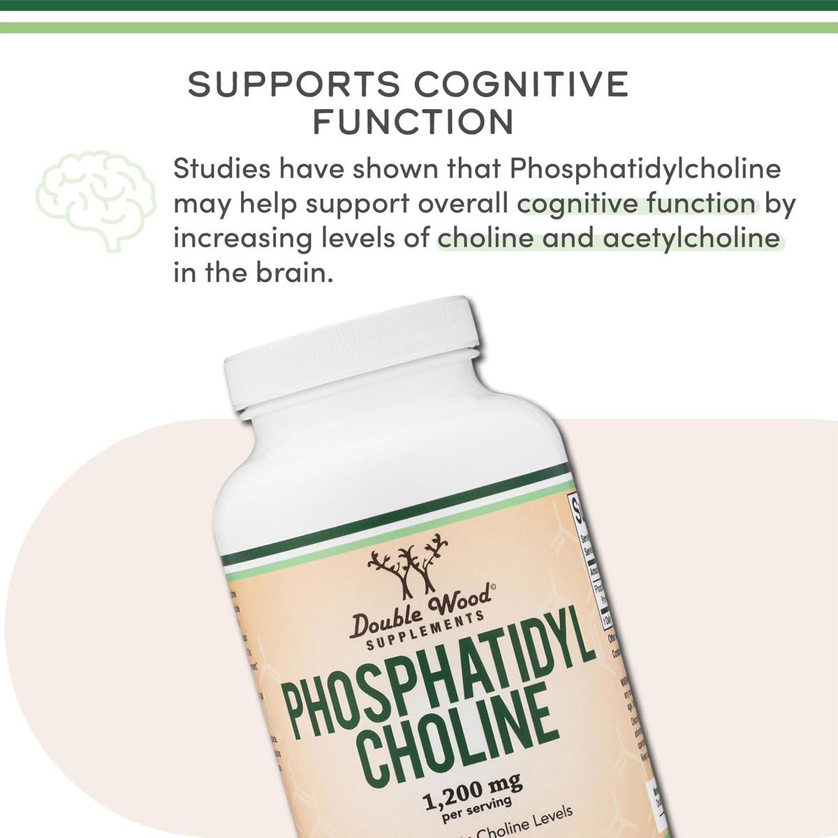 High potency phosphatidylcholine capsules
