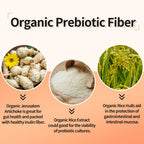 high potency prebiotics and probiotics blend