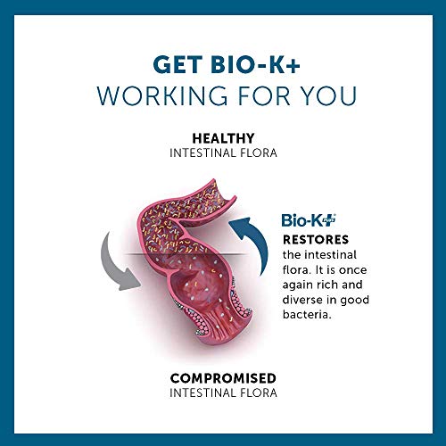 high potency probiotic capsules