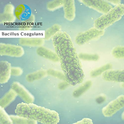 High potency probiotic for digestion