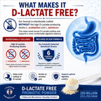 High potency probiotic powder