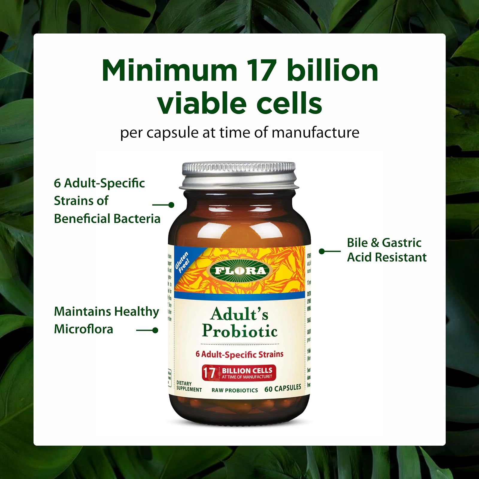 high potency probiotics 50 billion cfu