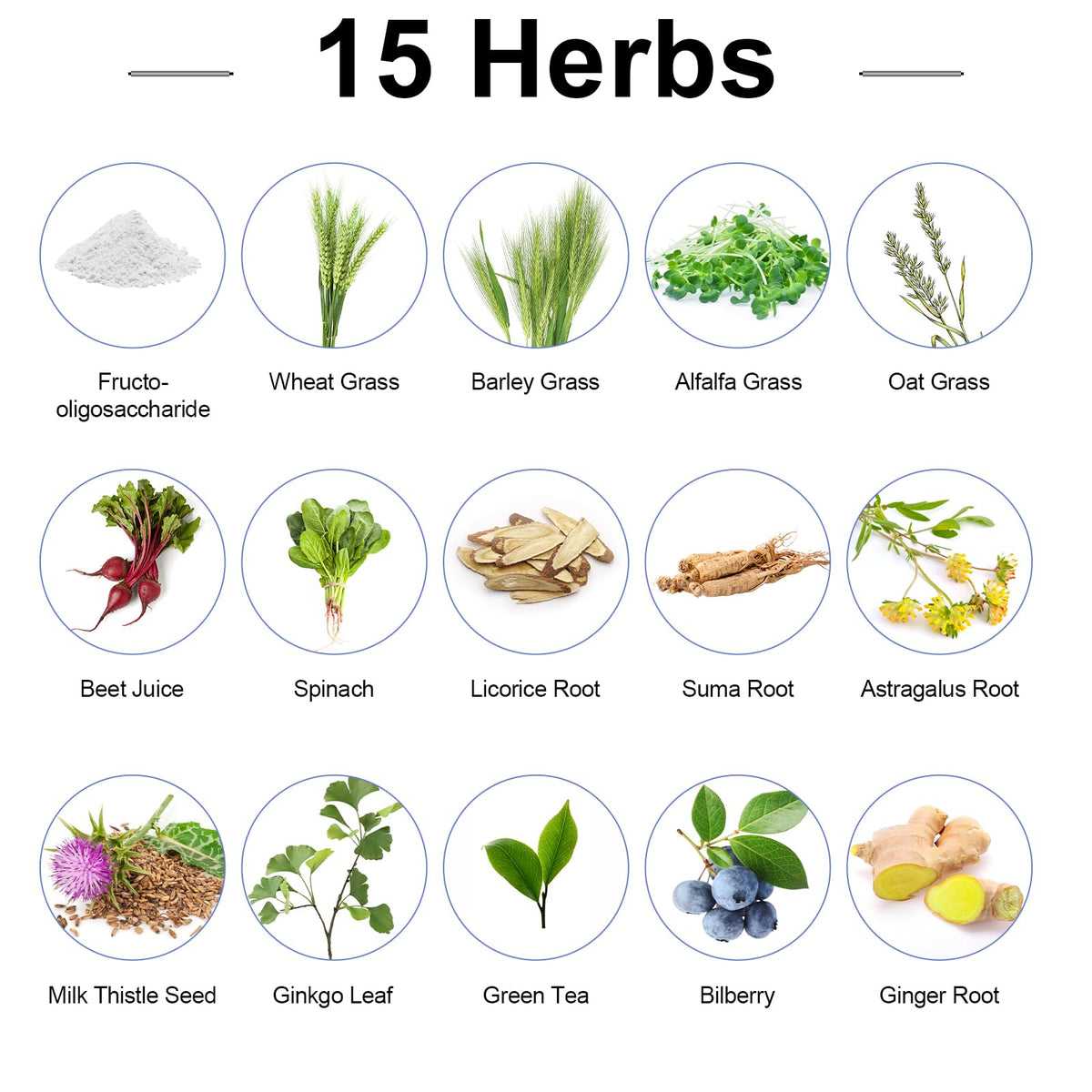 high potency probiotics 50 billion CFU