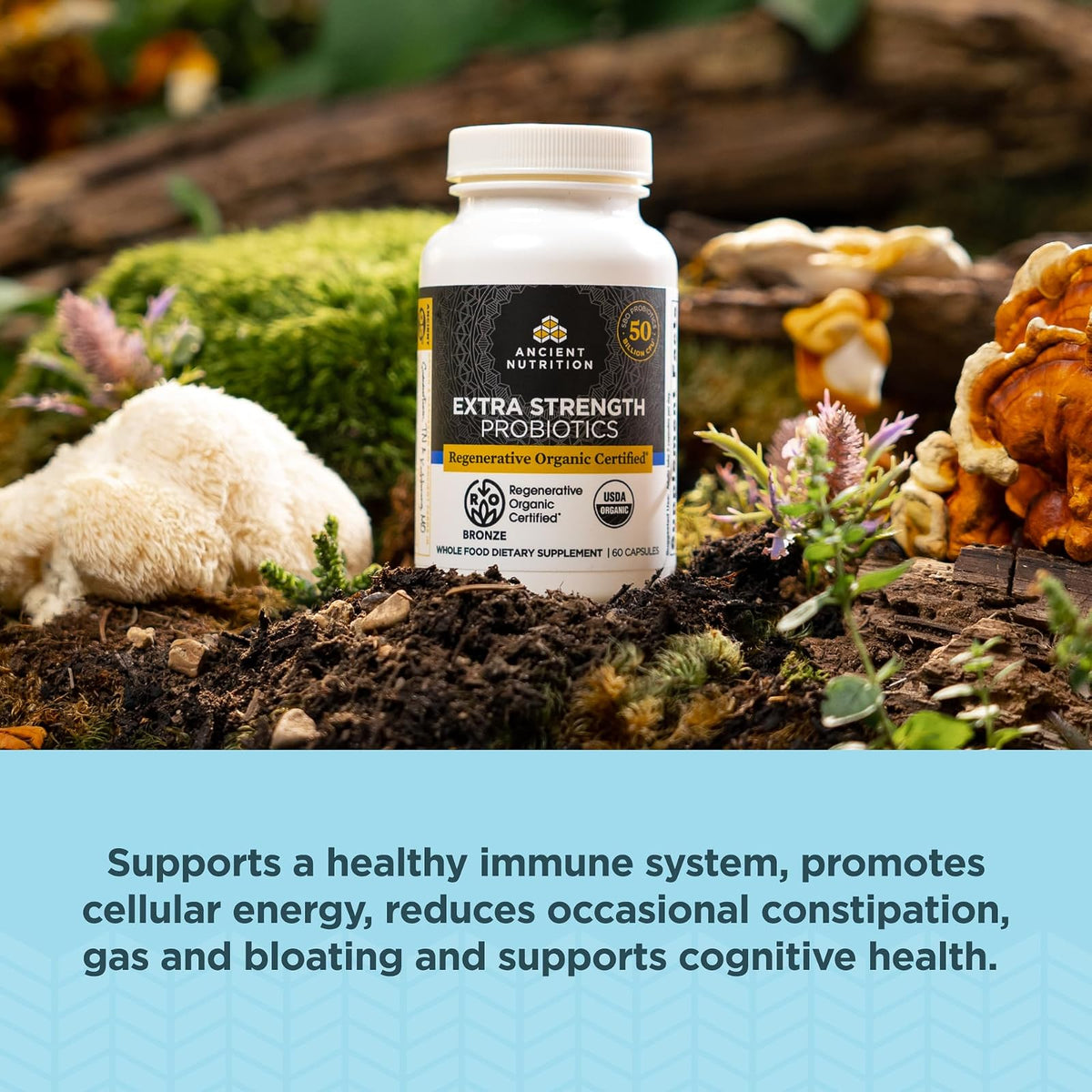 high potency probiotics 50 billion cfu