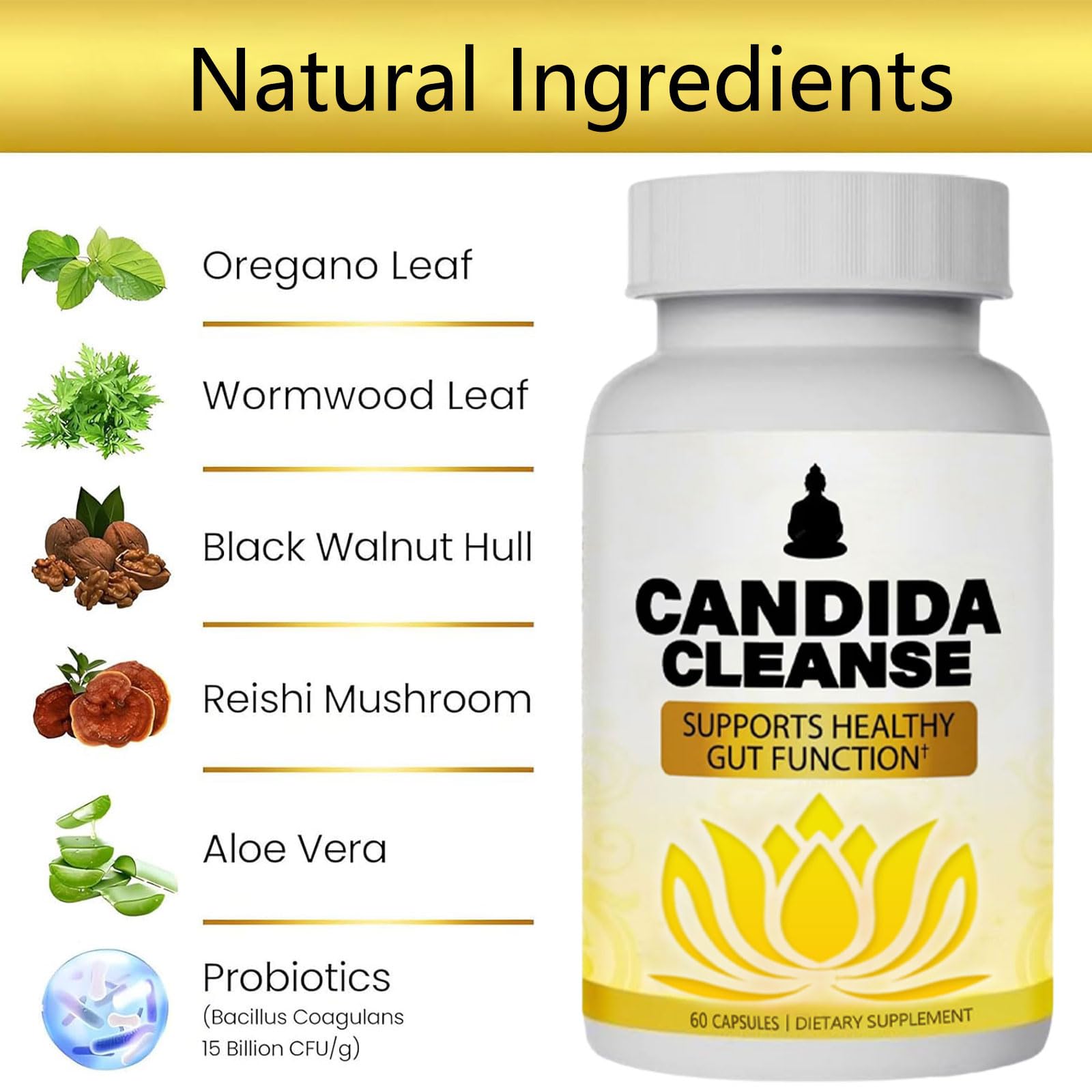 high potency probiotics 50 billion CFU