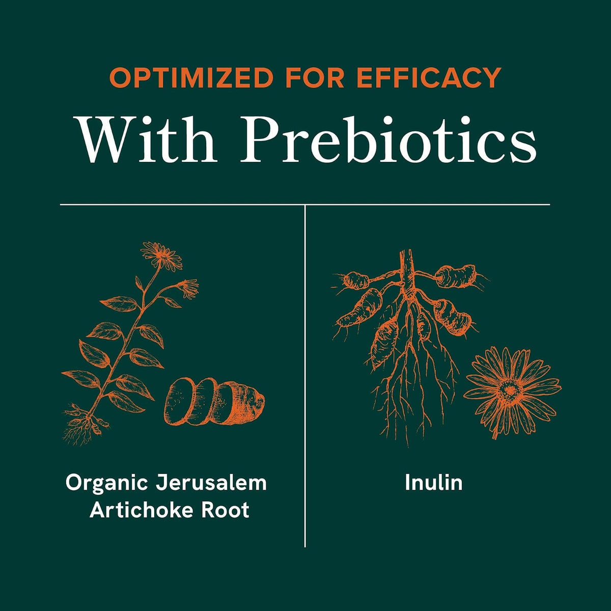 high potency probiotics 50 billion