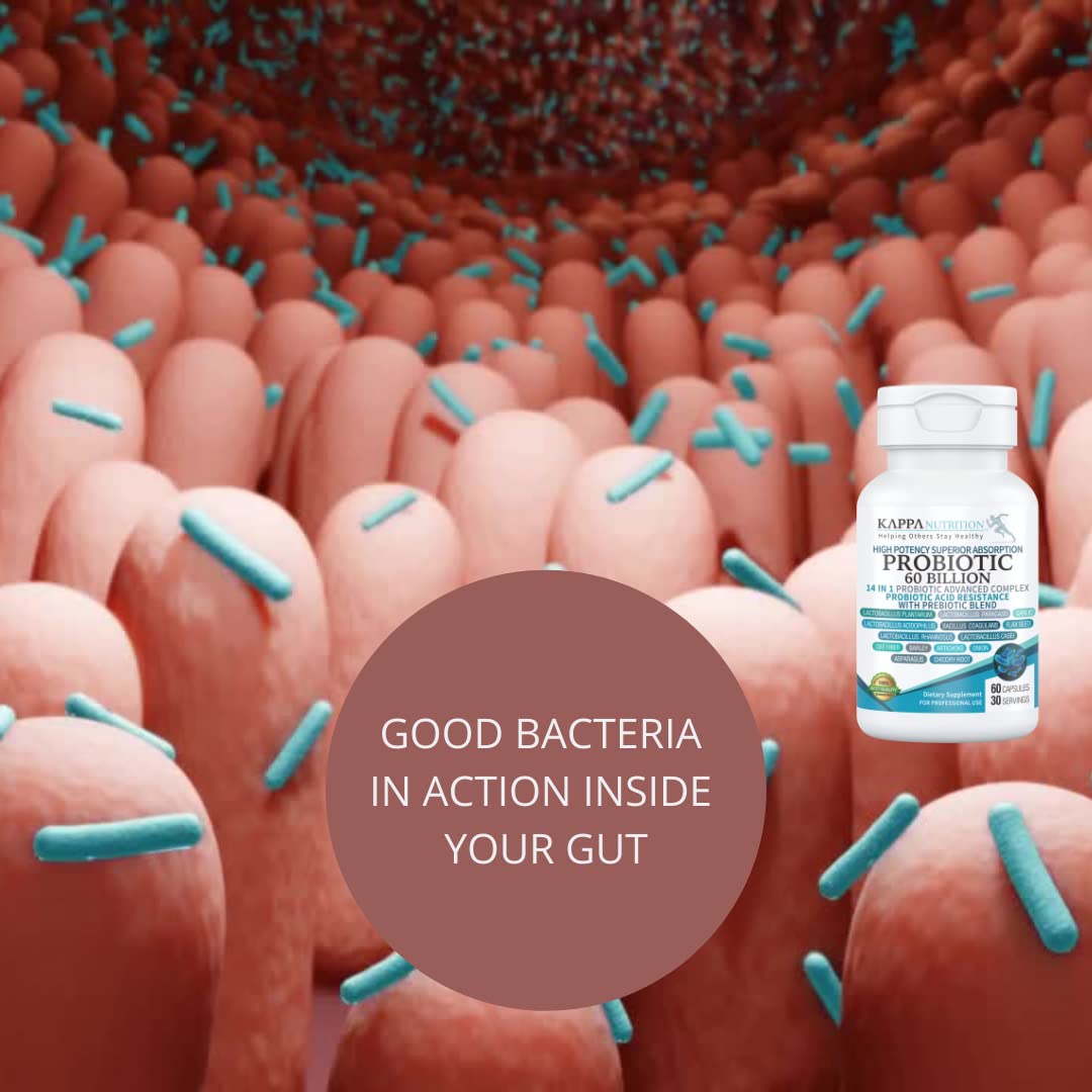 high potency probiotics 60 billion CFU