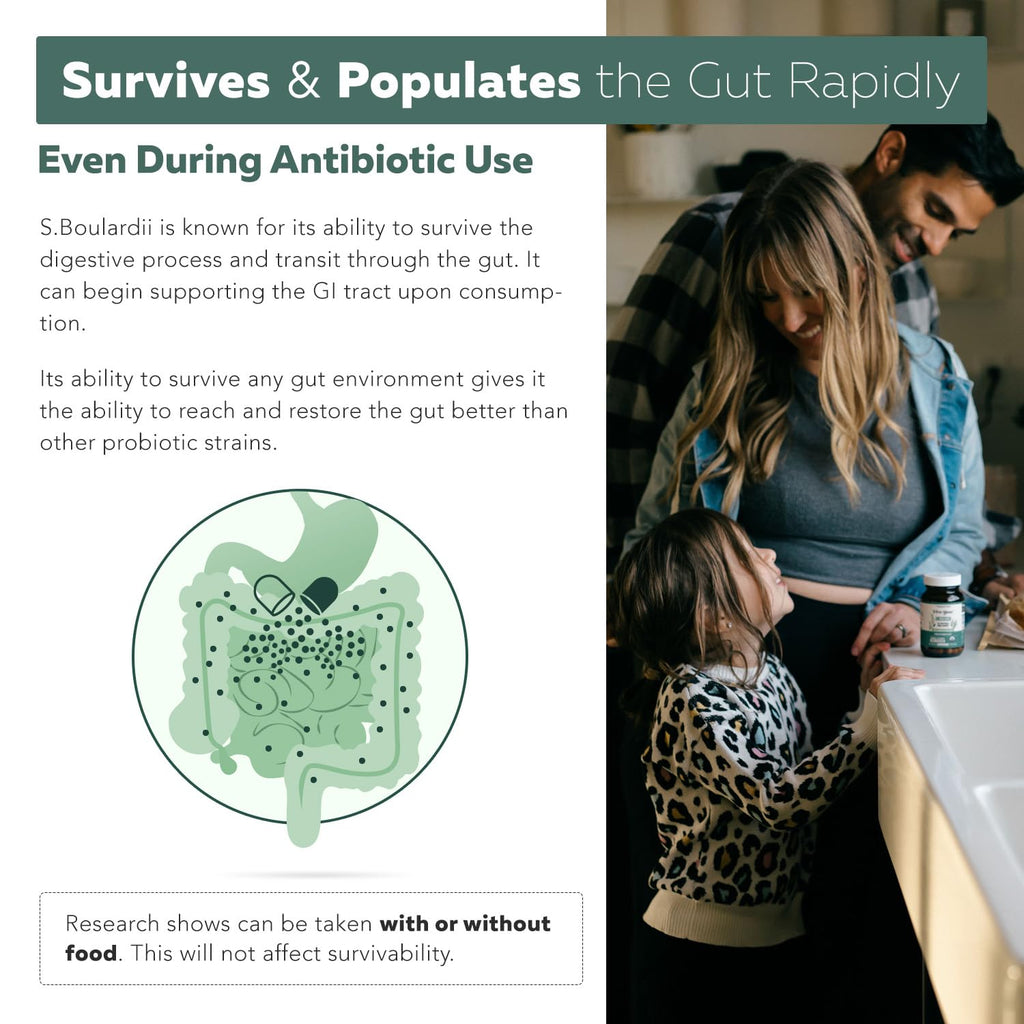 High potency probiotics for balance