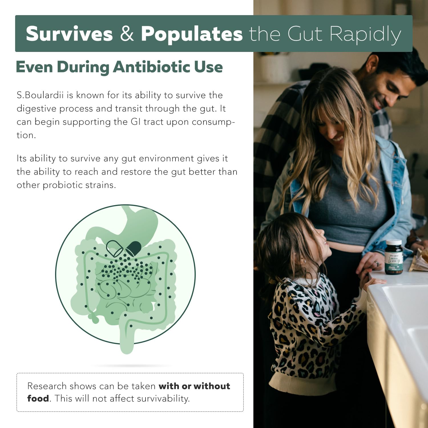 High potency probiotics for balance