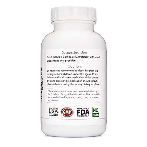 high potency probiotics for daily use