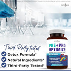 high potency probiotics for daily wellness