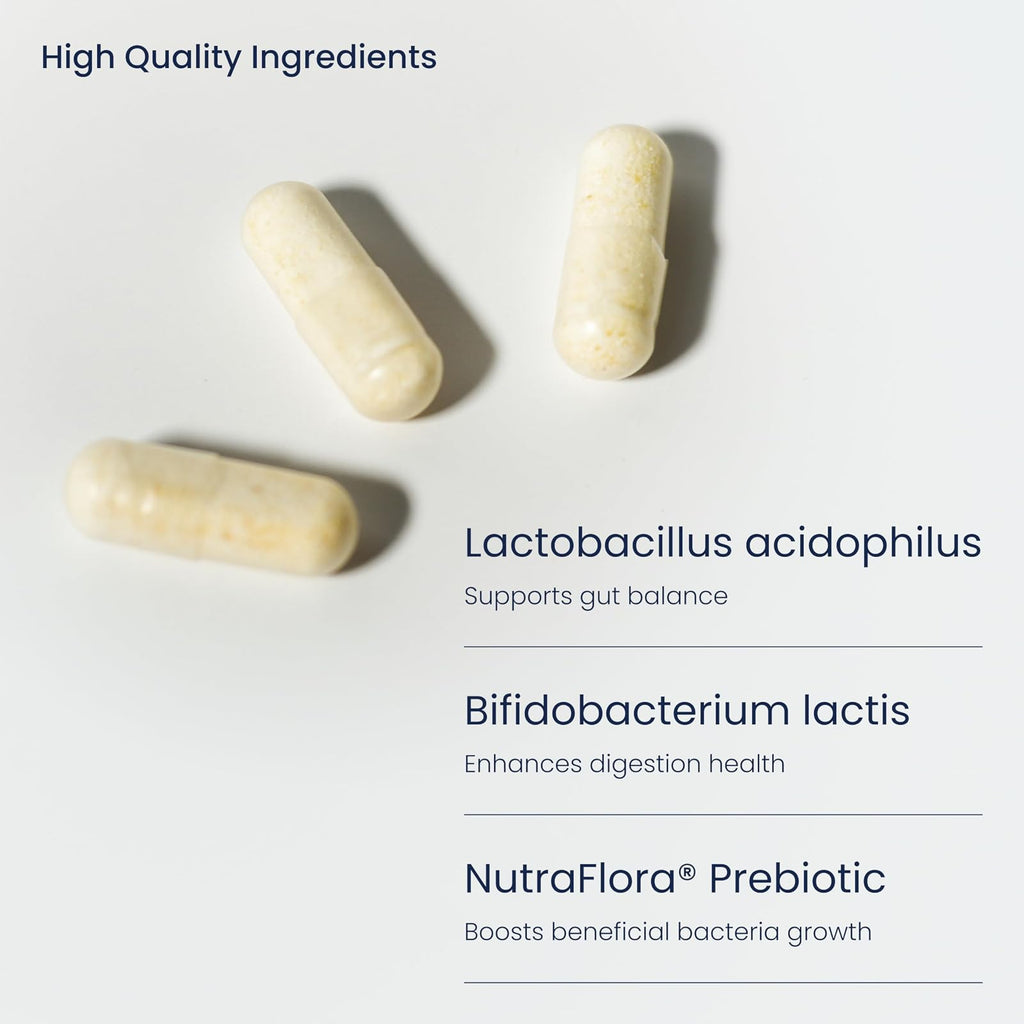high potency probiotics for daily wellness