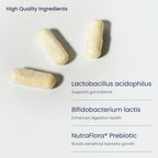 high potency probiotics for daily wellness