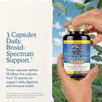 high potency probiotics for digestion