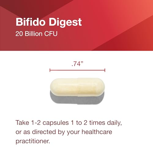 high potency probiotics for digestion