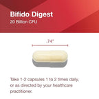 high potency probiotics for digestion