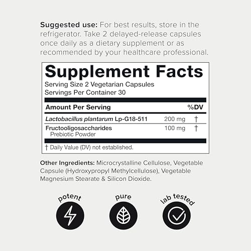 high potency probiotics for digestion