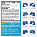 high potency probiotics for digestion