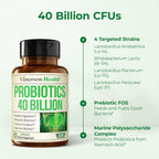 high potency probiotics for digestion