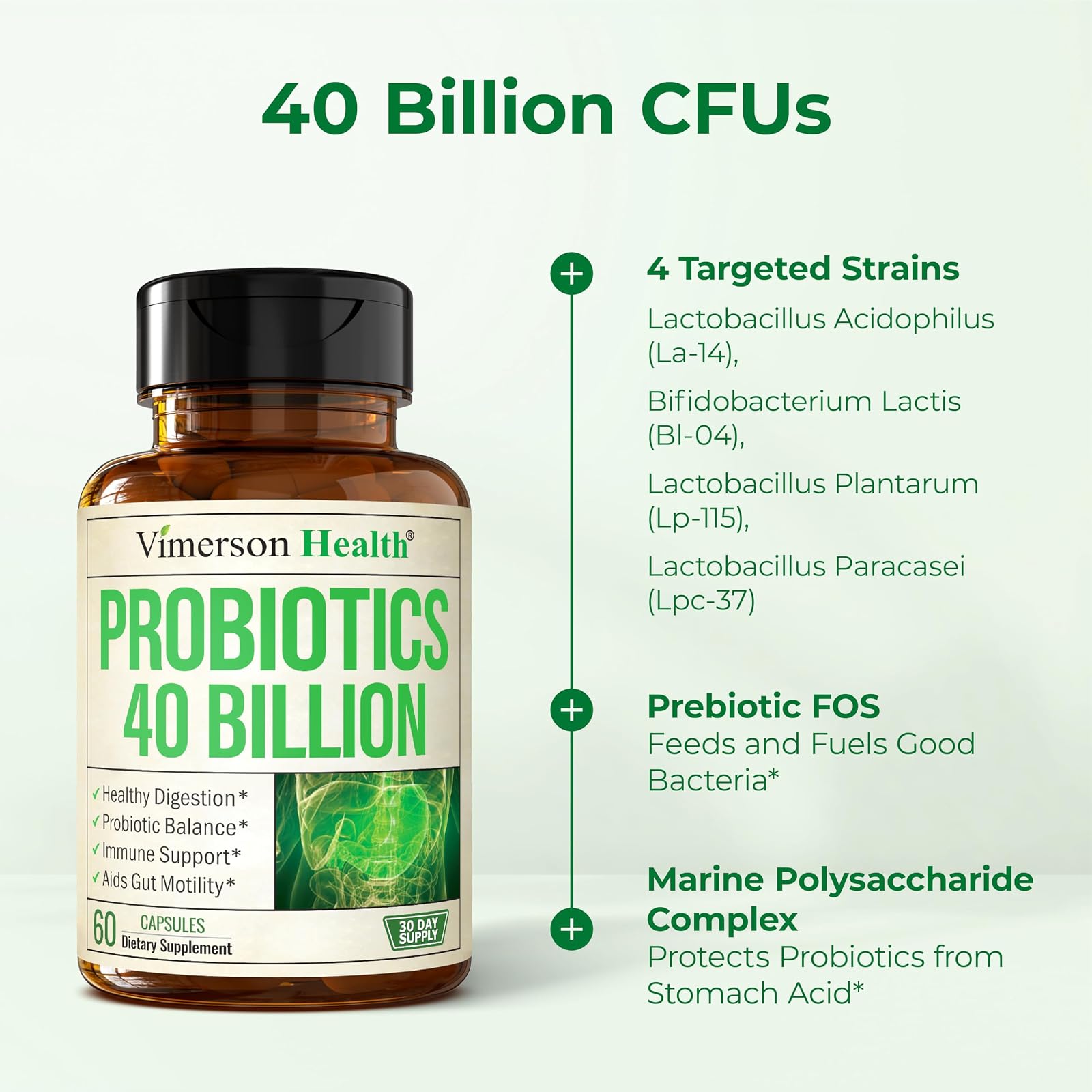 high potency probiotics for digestion